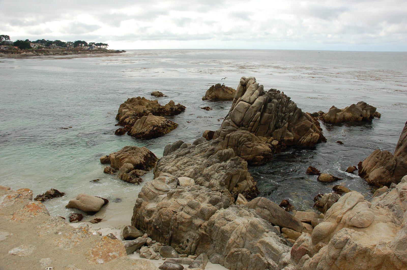 Dive Conditions - Monterey Scuba Board